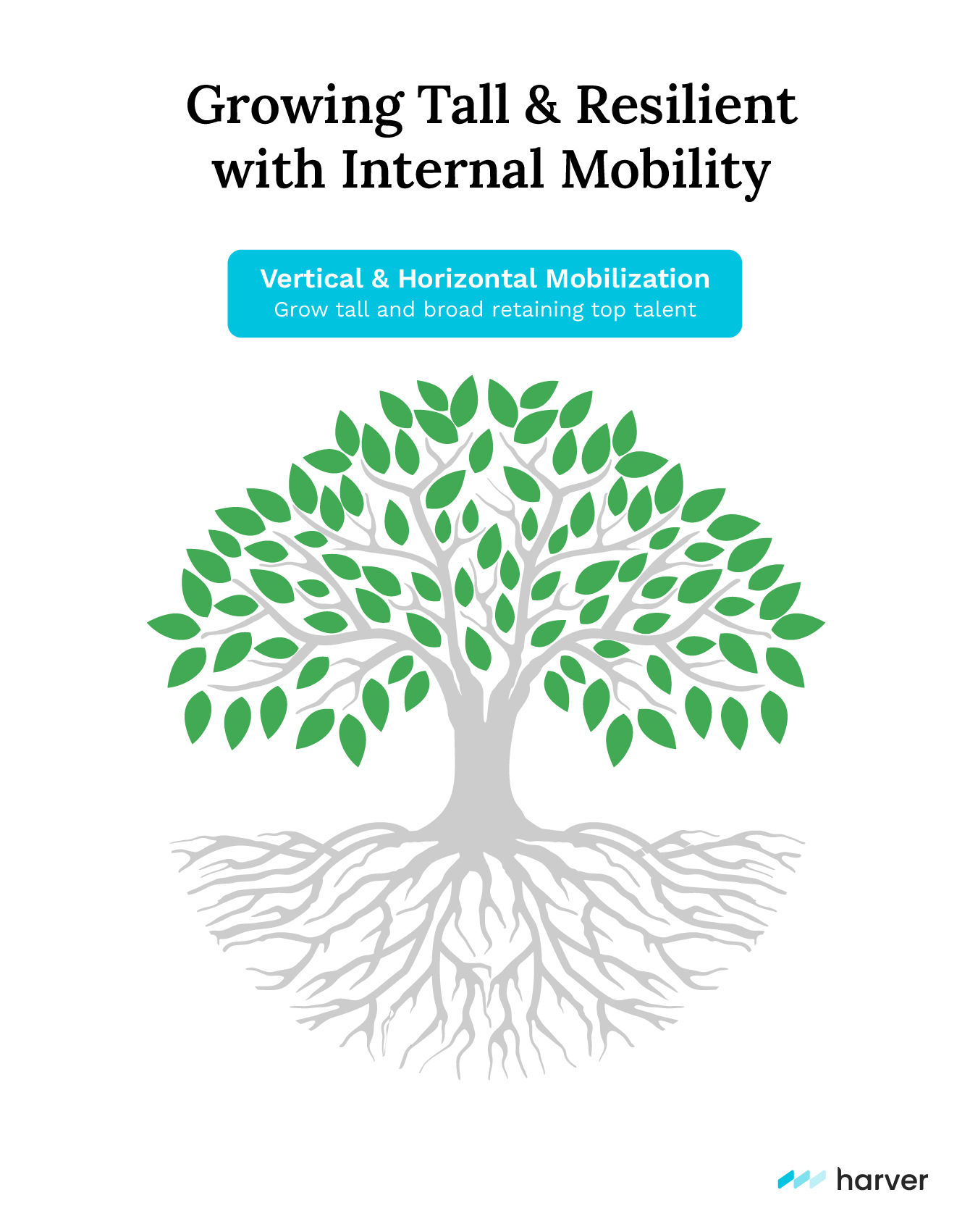3 Internal Mobility Tips You Can Start Implementing Today | Harver